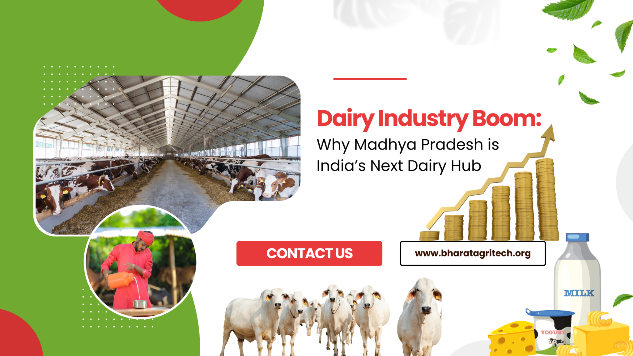 Dairy Industry Boom: Why Madhya Pradesh is India’s Next Dairy Hub ...